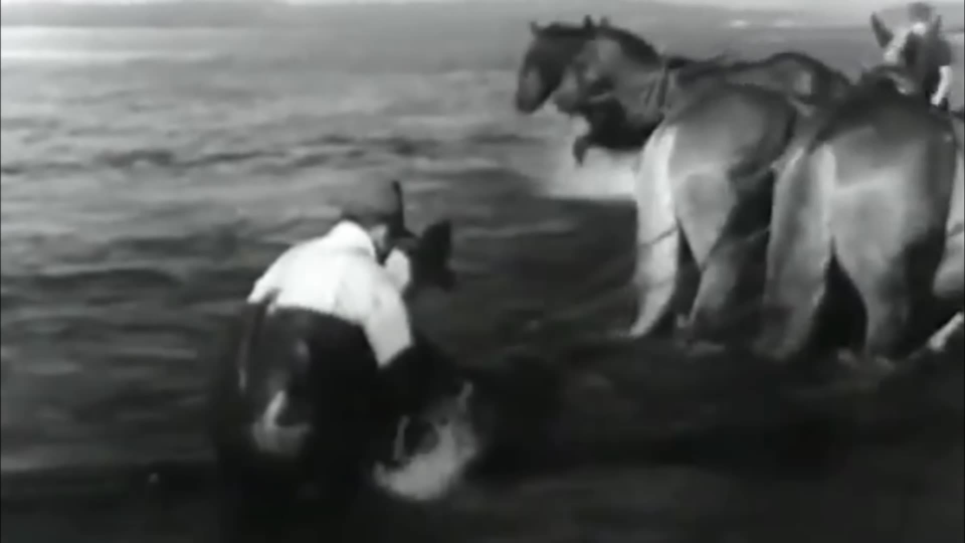 Oregon Piling Project | Origin Millworks