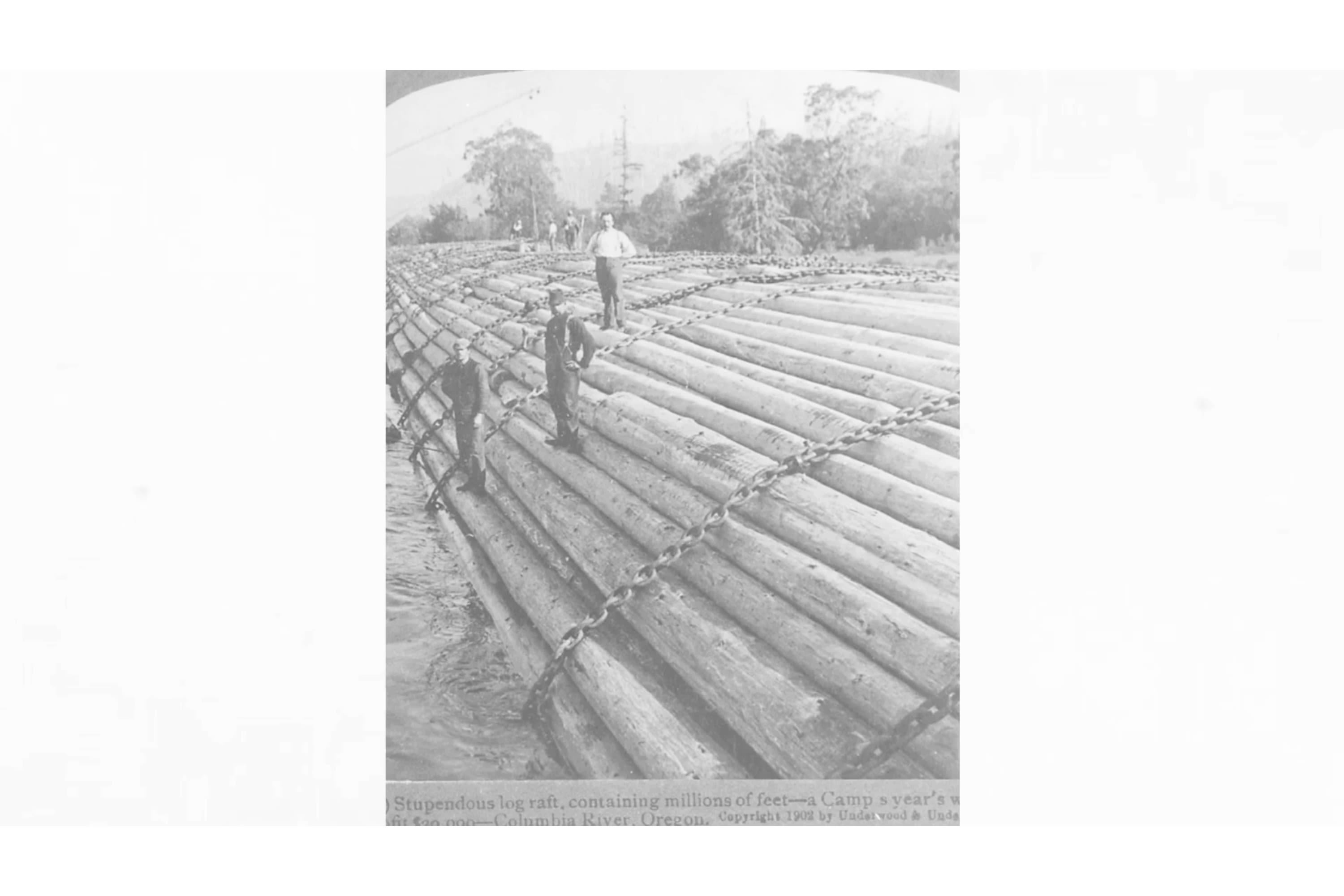 Oregon Piling Project | Origin Millworks